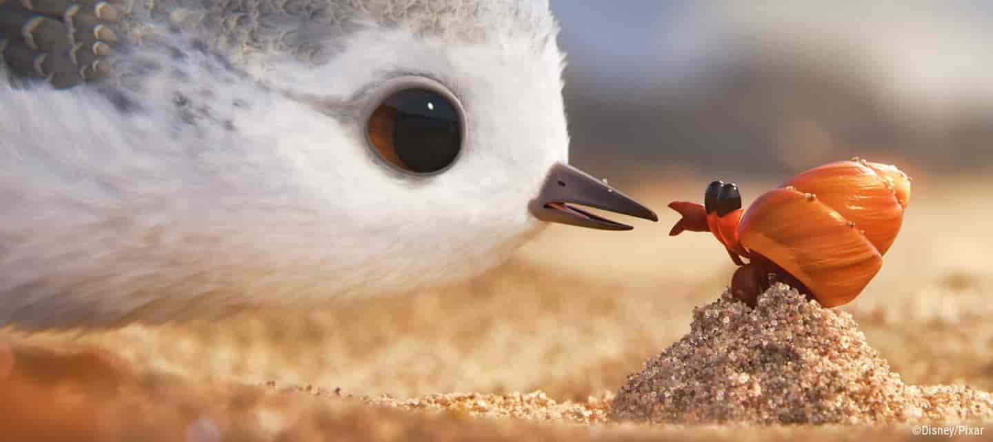 Định Dạng USD Đổi Tên Thành Open USD Để Không Nhầm Với Đơn Vị Đô La Mỹ ...